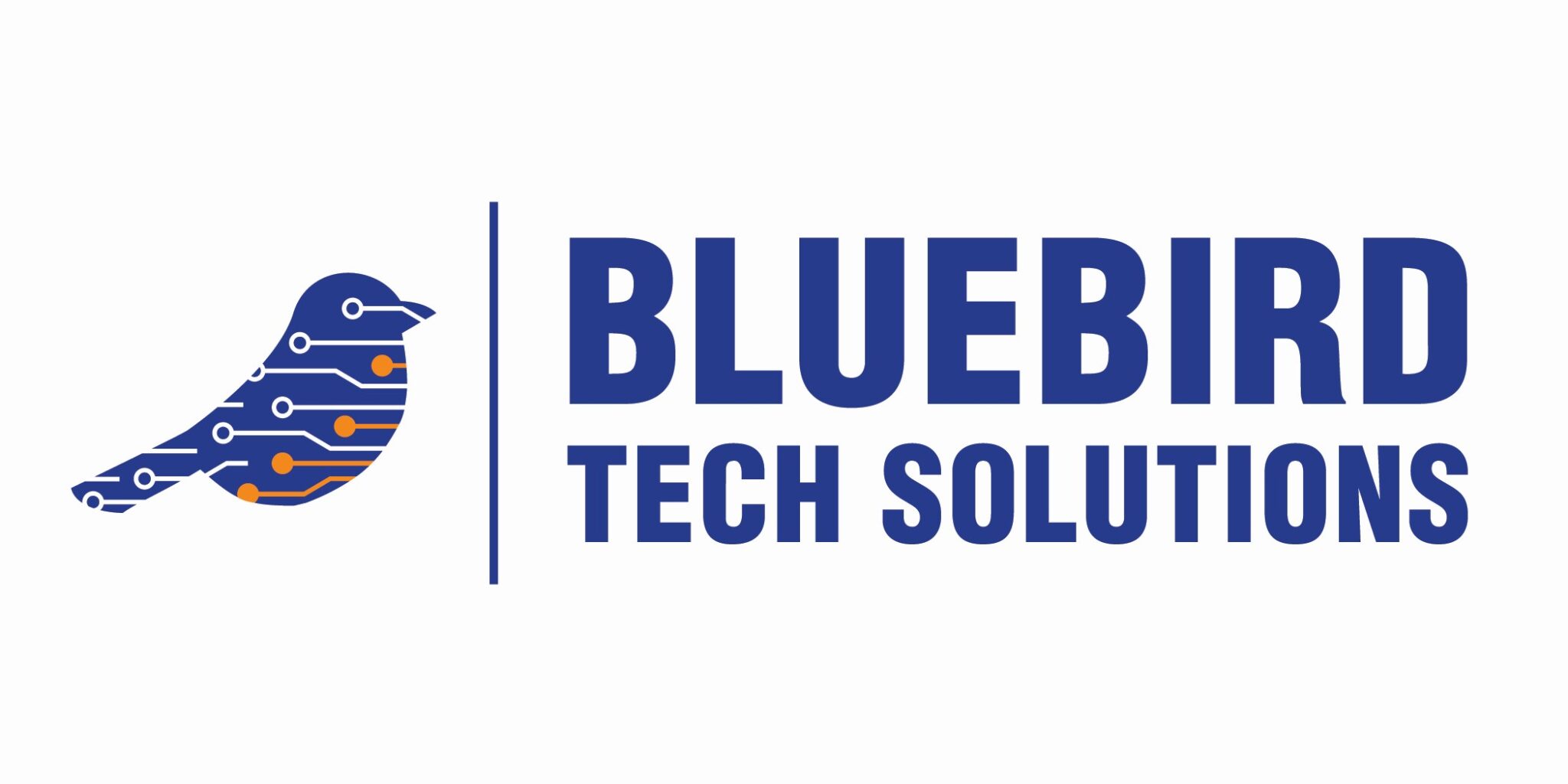 Contact Us - Bluebird Tech Solutions