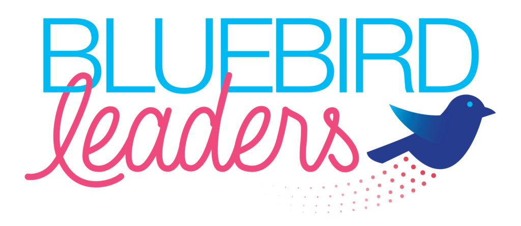 Home - Bluebird Tech Solutions